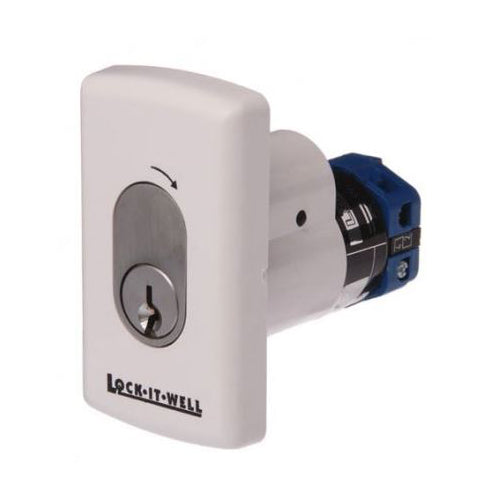 LOCK IT WELL OVAL KEY SWITCH SPRING RETURN – The Lock Shop